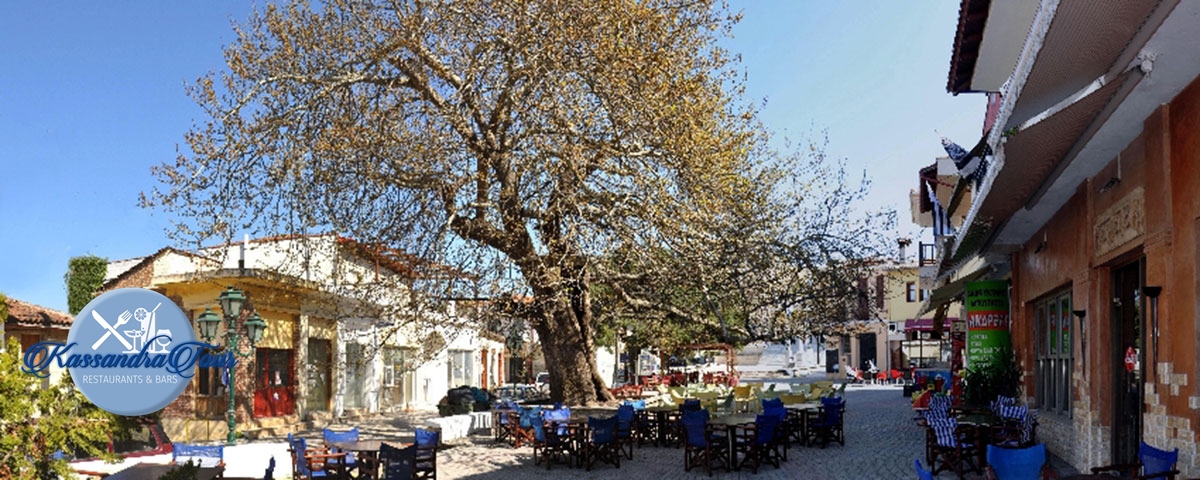 HALKIDIKI KASSANDRIA SIVIRI RESTAURANT BAR