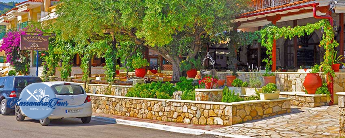 HALKIDIKI AGIA PARASKEVI LOUTRA RESTAURANT BAR